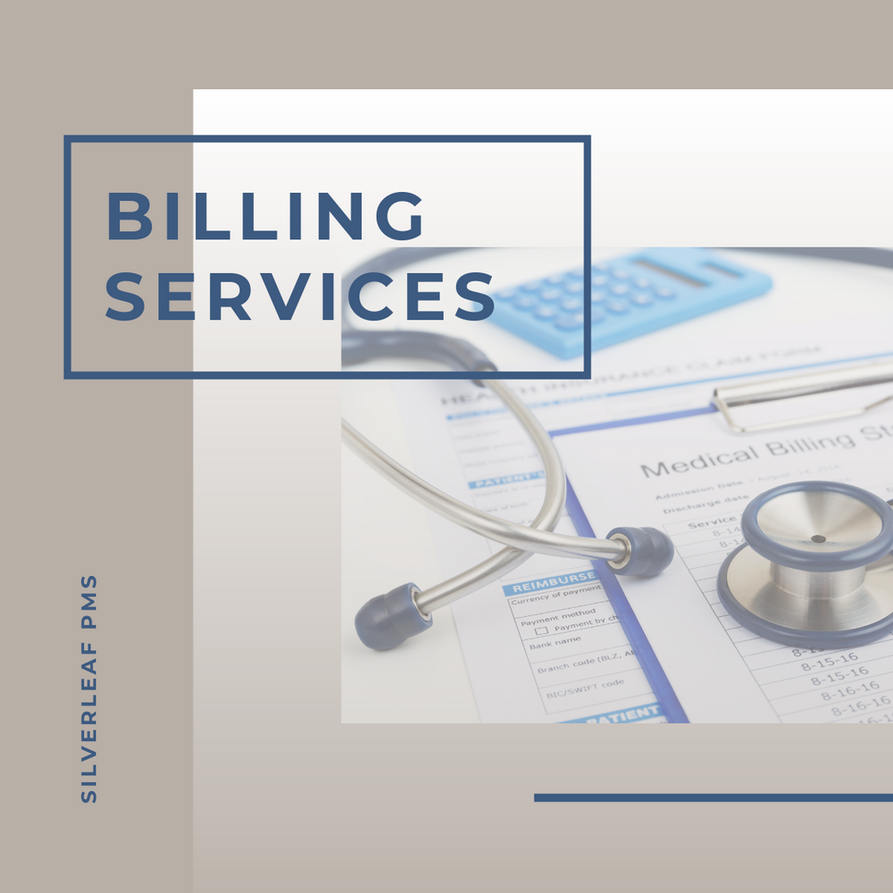 Silver Leaf Practice Management Solutions – SLPMS