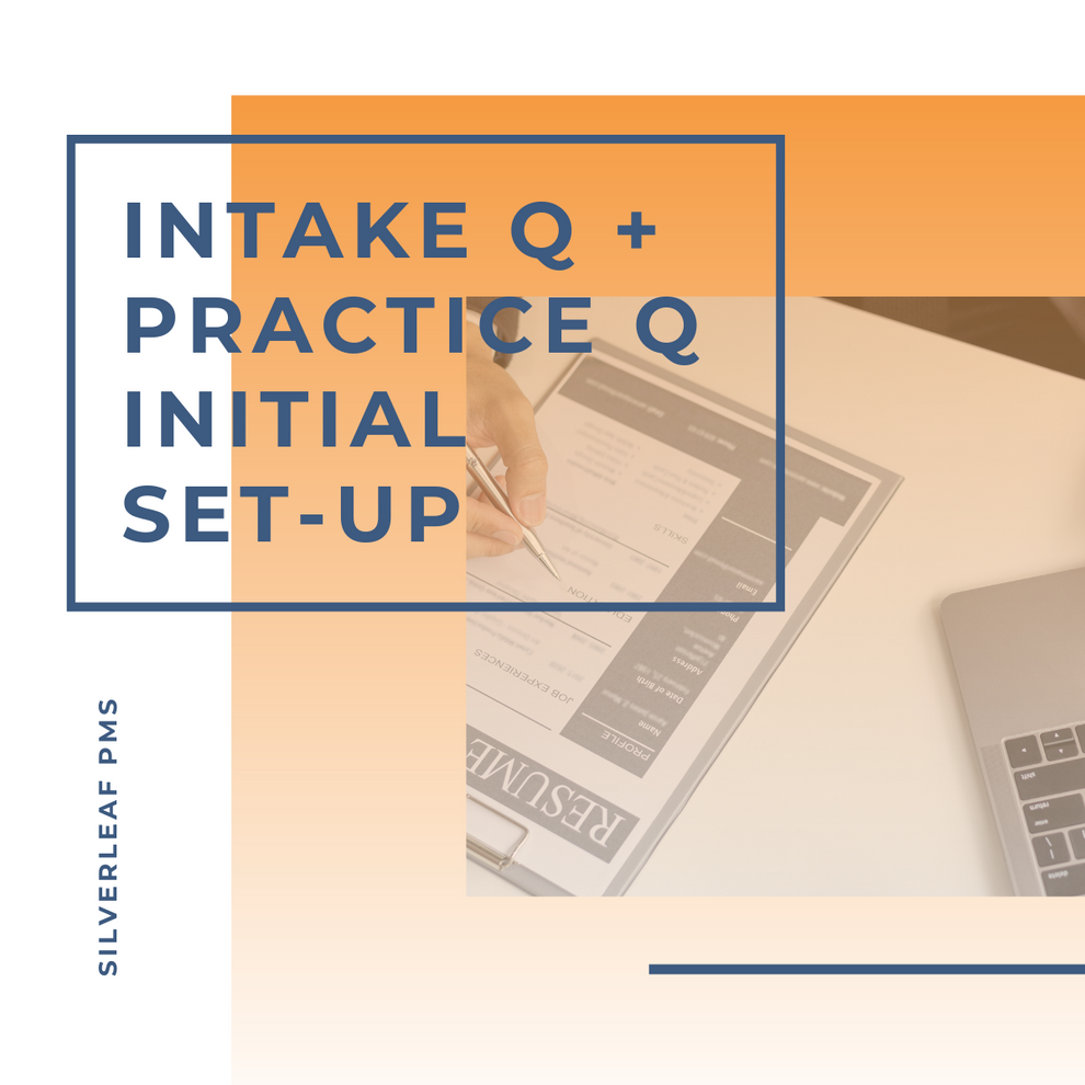 IntakeQ / Practice Q Initial Set-Up – SLPMS