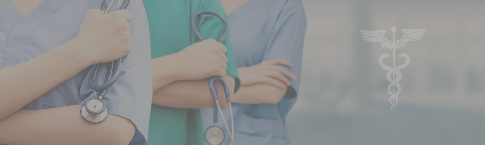 Silver Leaf Practice Management Solutions – SLPMS